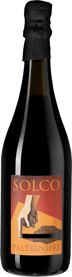 Игристое вино Paltrinieri, Solco, Lambrusco dell'Emilia купить ...